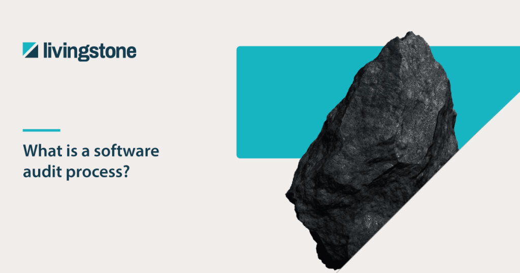 Defend a Software Audit - Livingstone